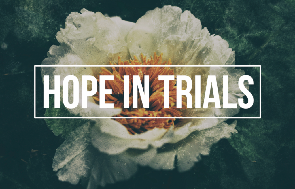 Trials & Hope – Hope In Trials… – A Blog, A Magazine. It's ...